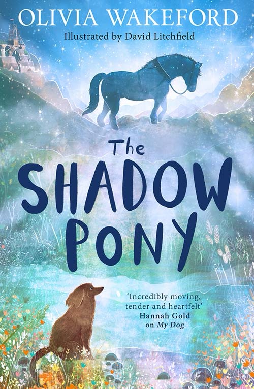 The Shadow Pony by Olivia Wakeford – My Shelves Are Full